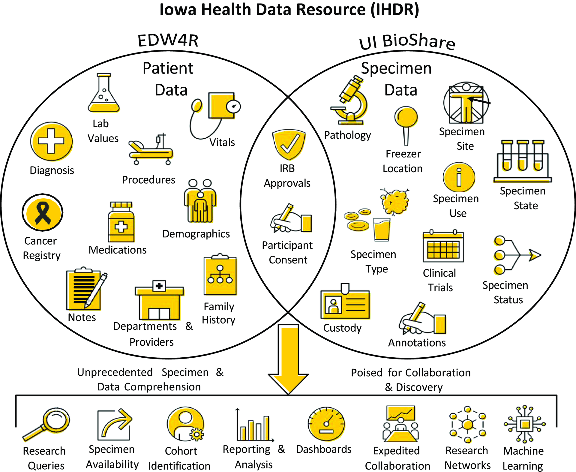Data Collection & Management | Institute for Clinical and Translational ...